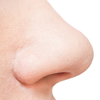 Ear, Nose and Throat (ENT) - Gateway Regional Medical Center
